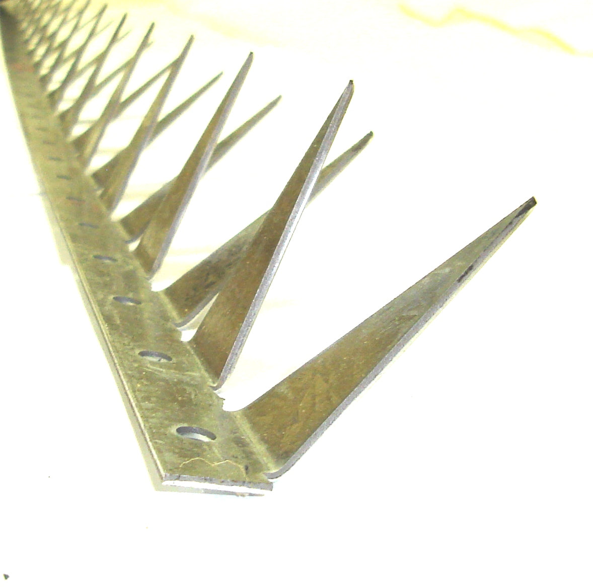 Raggy Sharp Tooth Wall Spike – Spike-It