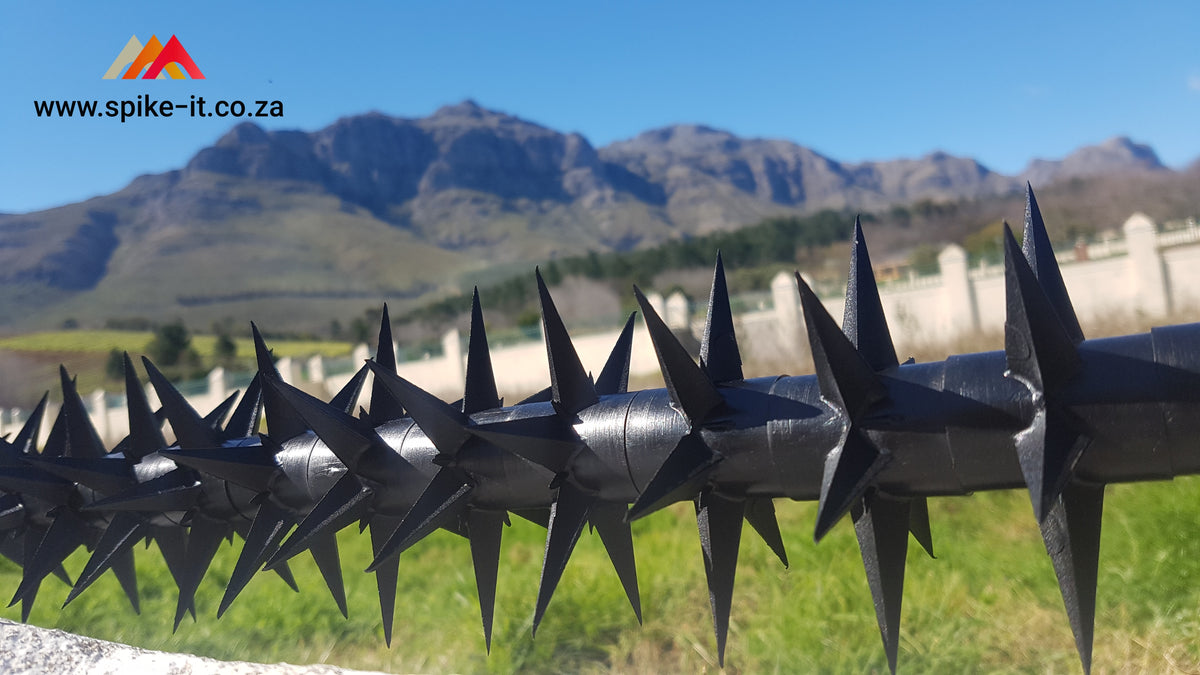 1m Single Row Rola Security Spikes - flat wall 1m Full DIY kit – Spike-It